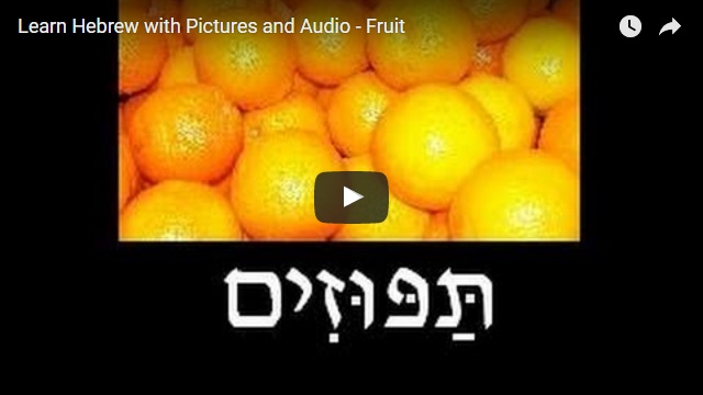 Learn Hebrew Video - Fruit