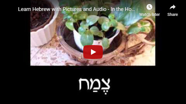 Learn Hebrew Video - In the House