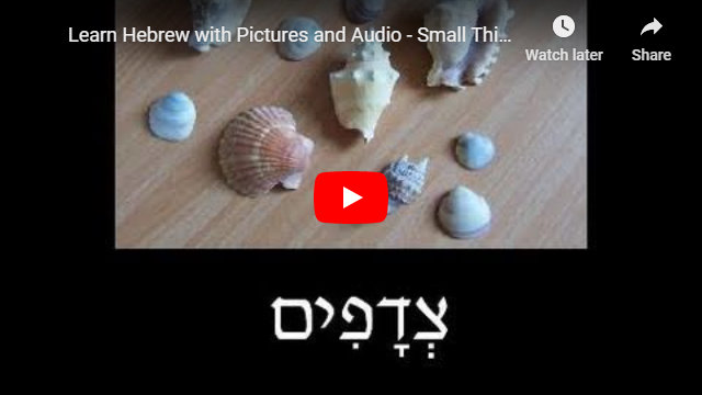 Learn Hebrew Video - Small Things